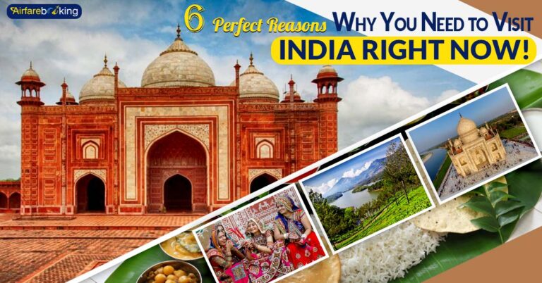 6 Perfect Reasons Why You Need to Visit India Right Now!